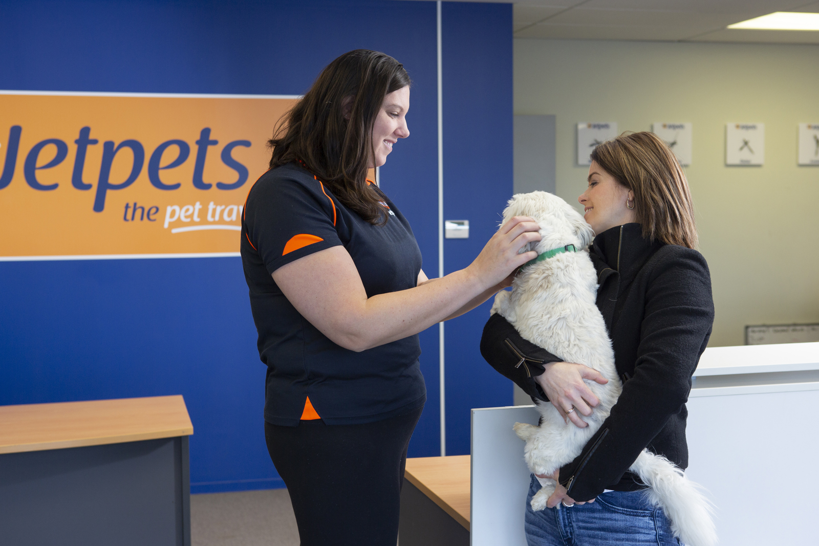 Overseas Pet Transport from New Zealand - Jetpets NZ