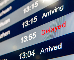 Can My Pet Be Delayed In Transit? - Jetpets NZ